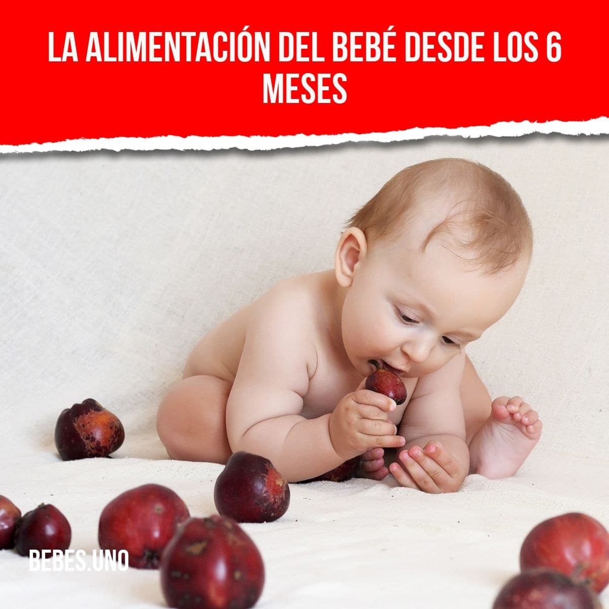 La Alimentación Del Bebé Desde Los 6 Meses