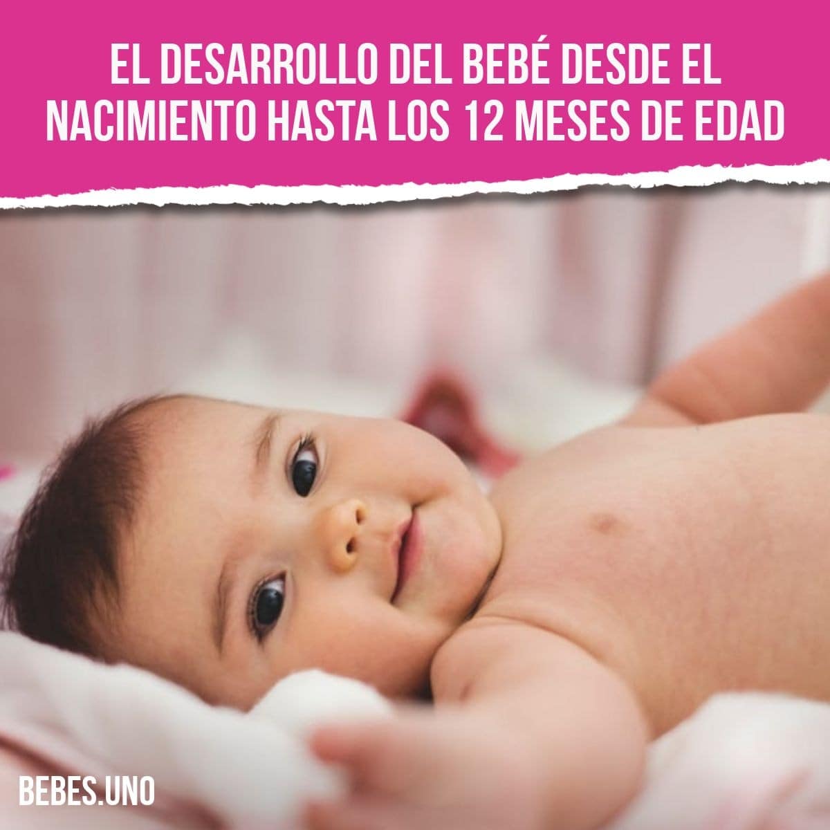 El desarrollo del bebé desde el nacimiento hasta los 12 meses de edad